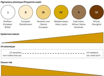 Fitzpatrick Scale - Enhance Me Training Academy