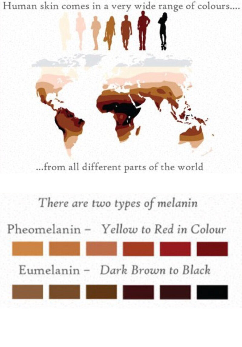 Skin Pigments - Enhance Me Training Academy