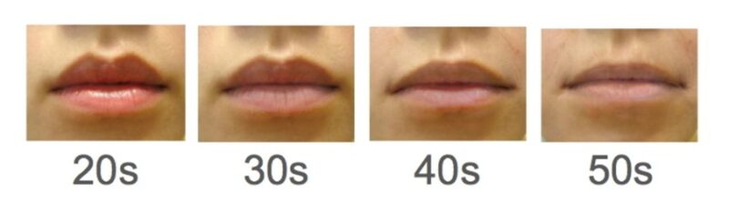 Anatomy and Physiology of the lip - Enhance Me Training Academy