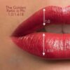 Anatomy and Physiology of the lip - Enhance Me Training Academy